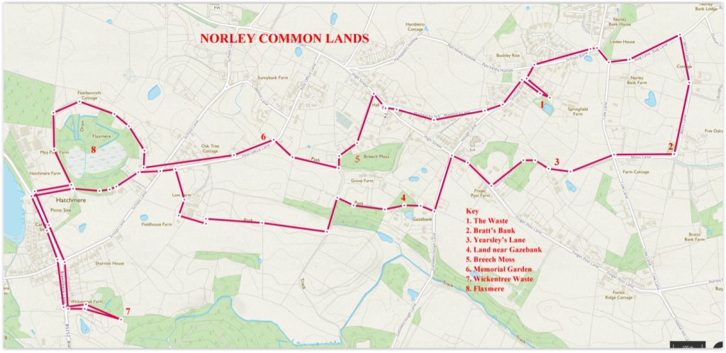 COMMONS / MOSSES – Norley Wildlife Group